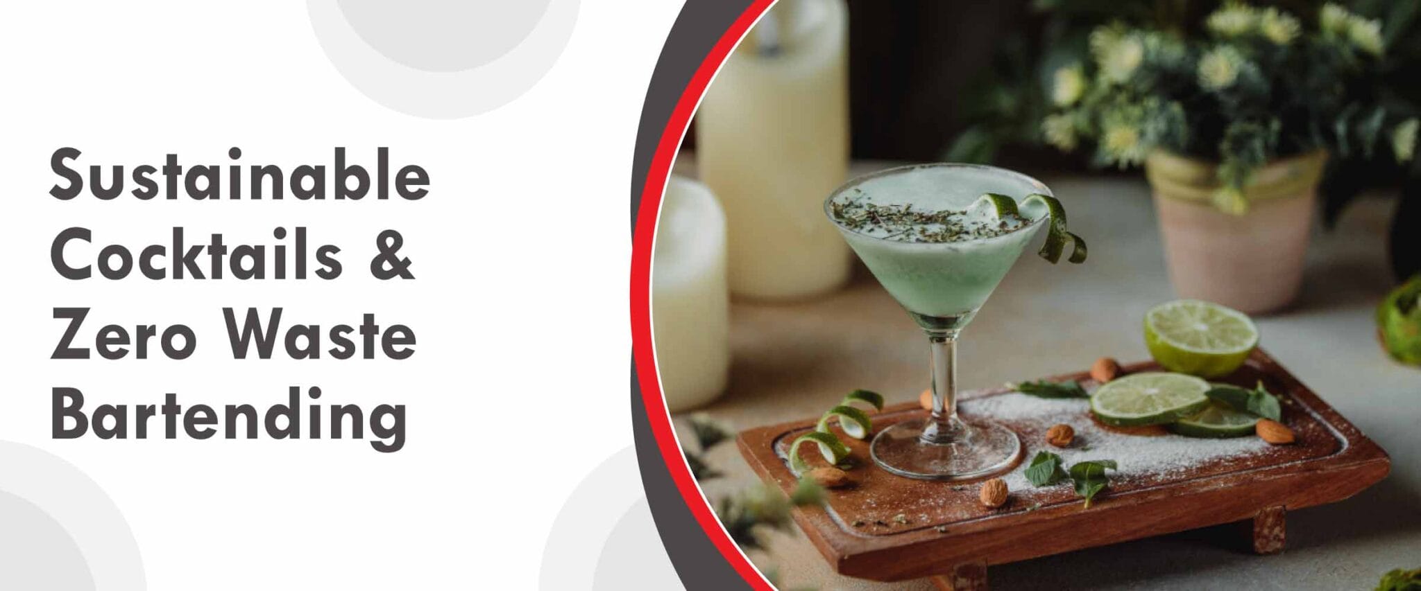 What Is Sustainable Cocktail & How to Incorporate it | FSIPL